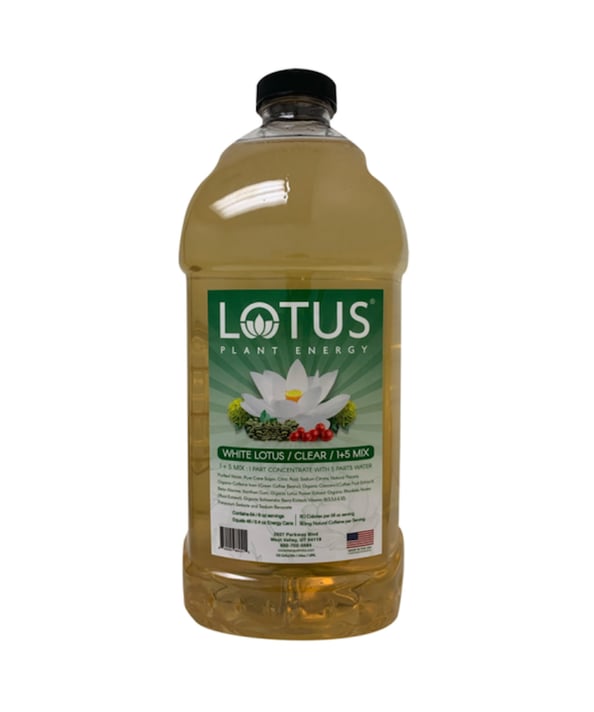 All About Lotus Energy Drinks