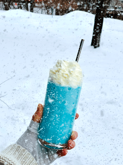 Lotus Energy Drink Recipes For The Holidays