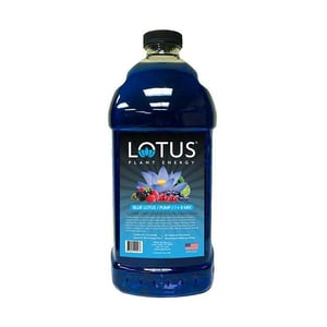 All About Lotus Energy Drinks