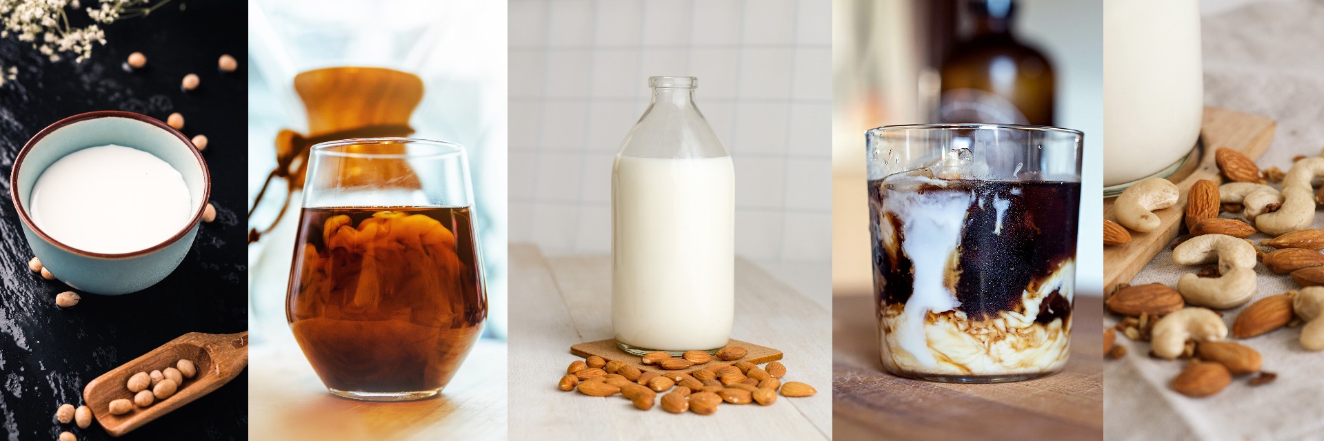 Everything You Need to Know About Non- Dairy Milks